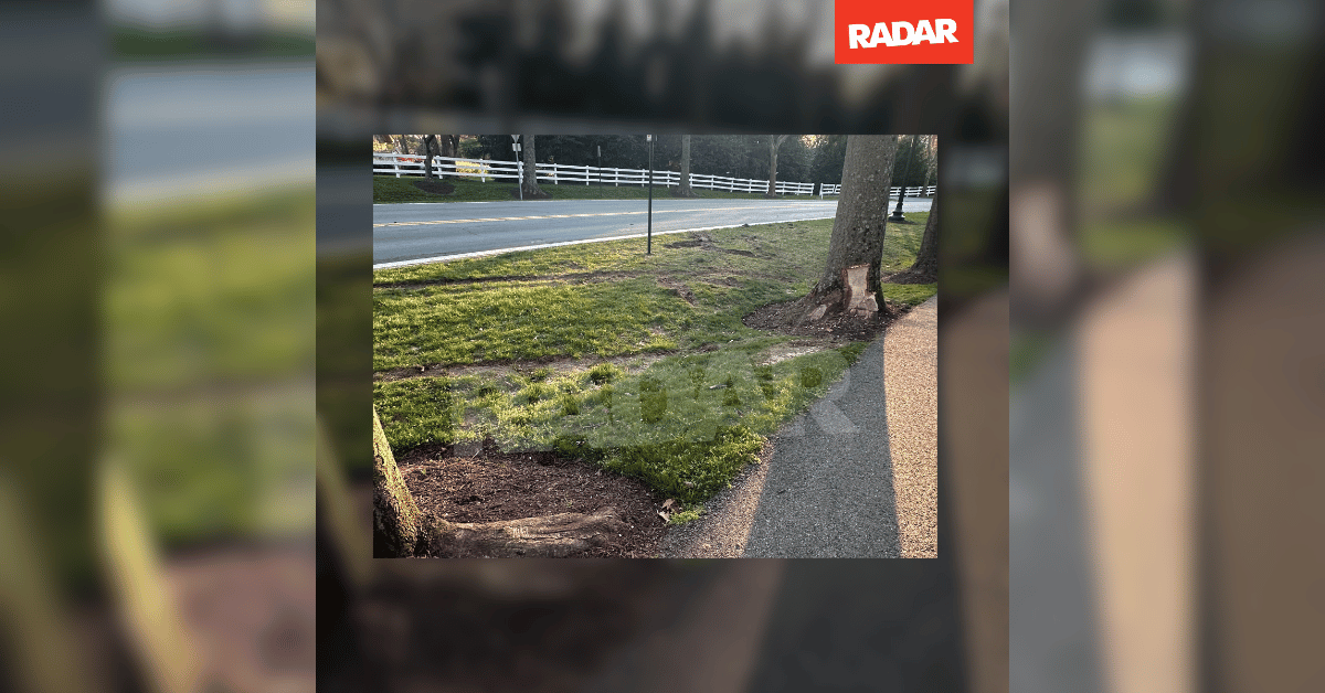 EXCLUSIVE PHOTOS: 'RHOP' Star Karen Huger's DUI Car Crash Scene