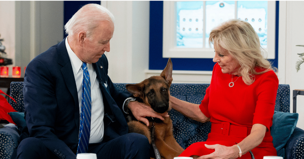 Photos: Joe Biden's Dog Commander Bites Groundskeeper