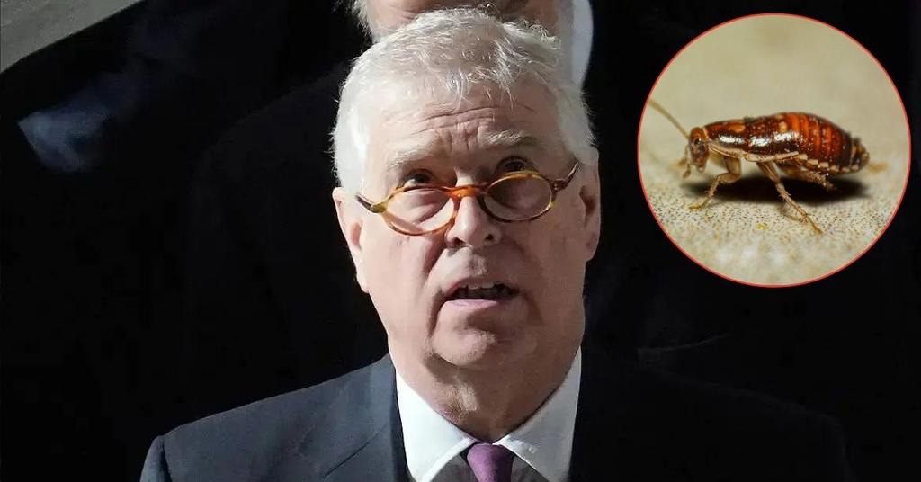 EXCLUSIVE: Andrew Windsor Leaves Taxpayers Fuming Over Bug Removal Bill