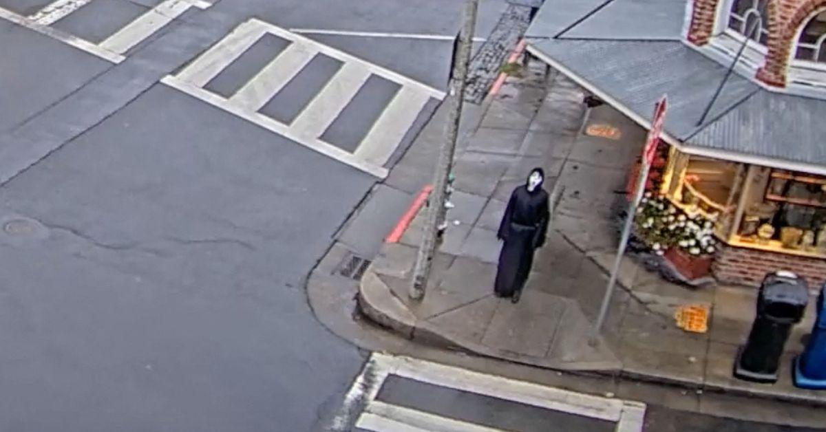 Pennsylvania Man Arrested After Chainsaw Slaughter in 'Scream' Costume