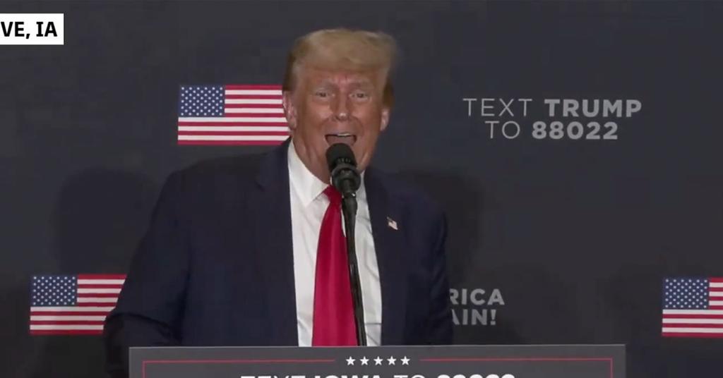 Donald Trump Attacked by Insects During Iowa Speech: 'I Hate Flies'