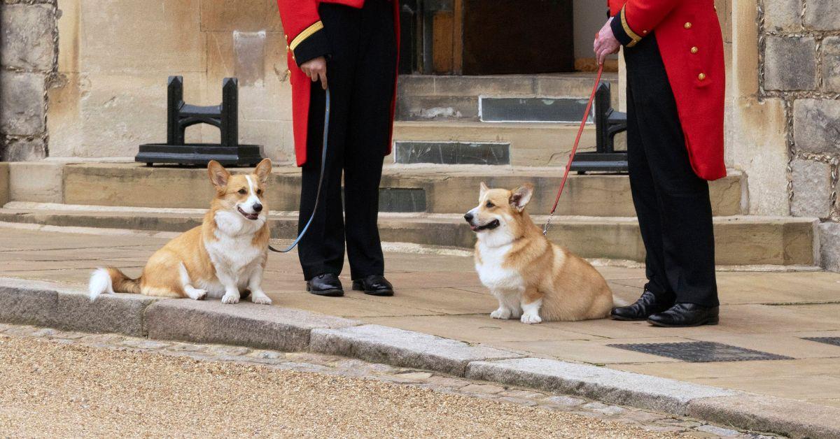 EXCLUSIVE: Sarah Ferguson Claimed Queen's Ghost Spoke Through Corgis