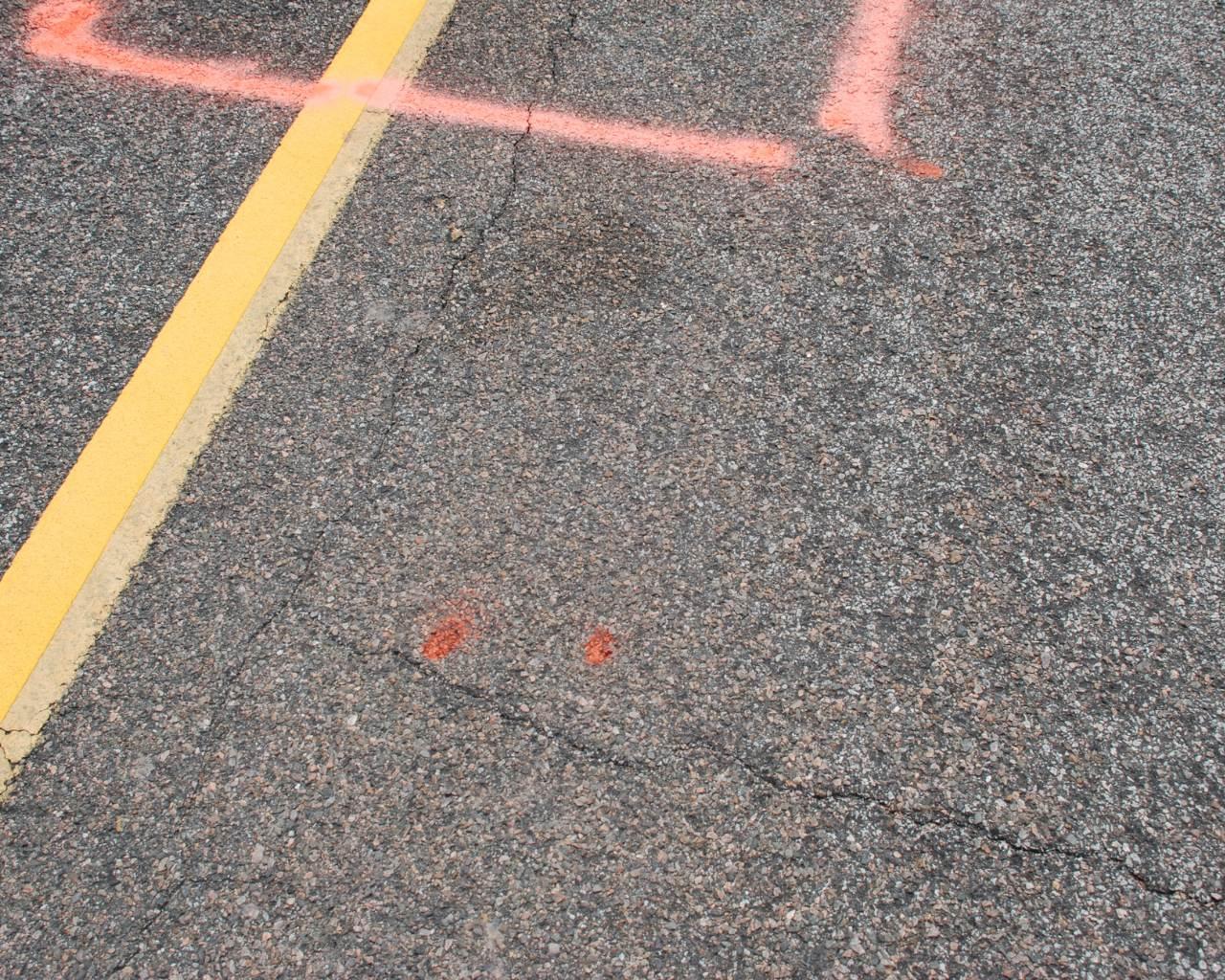 Reexamine Stephen Smith's 2015 Crime Scene Photos Near The Murdaugh ...