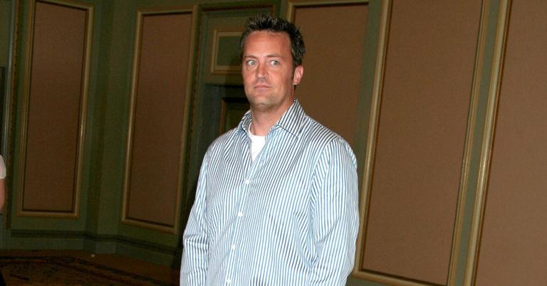'Melancholy' Matthew Perry Plagued by Fame 'Sat Alone in the Back' at ...