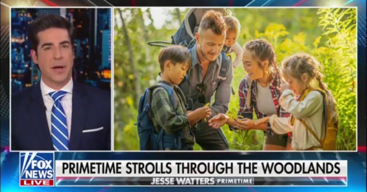 Jesse Watters 'Attacked' by Dog After 'Getting Rid' of His Own Pup