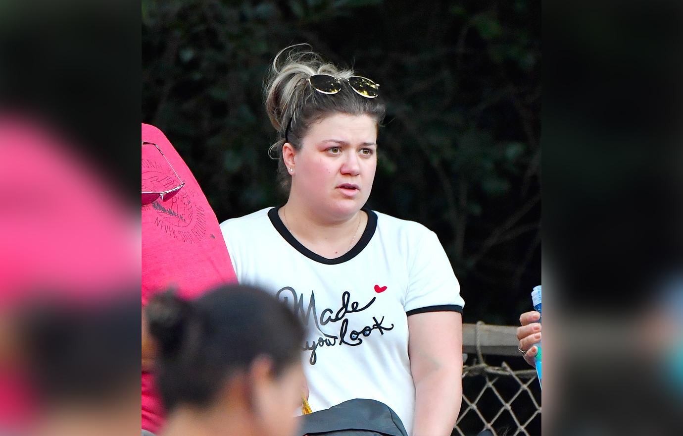 Kelly Clarkson Gets $80k Trained Security Dog After Home Break-In Horror