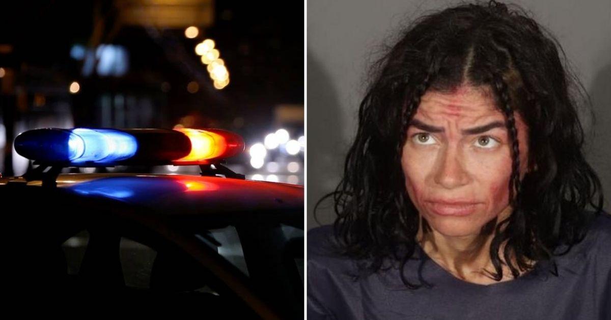 California Woman Accused of Posing as Russian Cop in Attempted Child ...