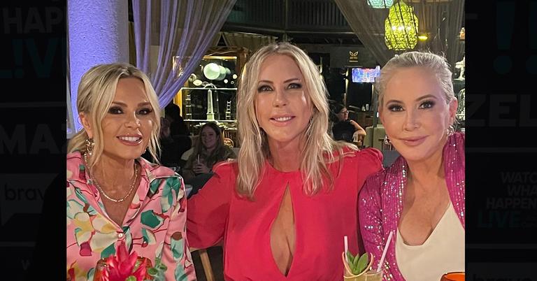 Shannon Beador Tres Amigas Comedy Show Affected After DUI Arrest