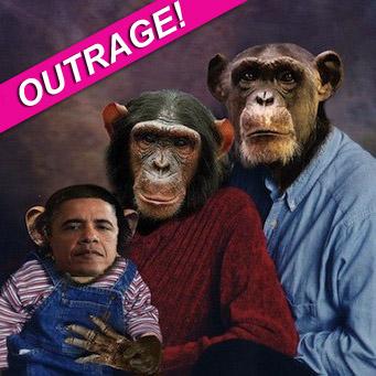 Politician Behind Obama-Chimp Email: It's 'Much To Do About Nothing'