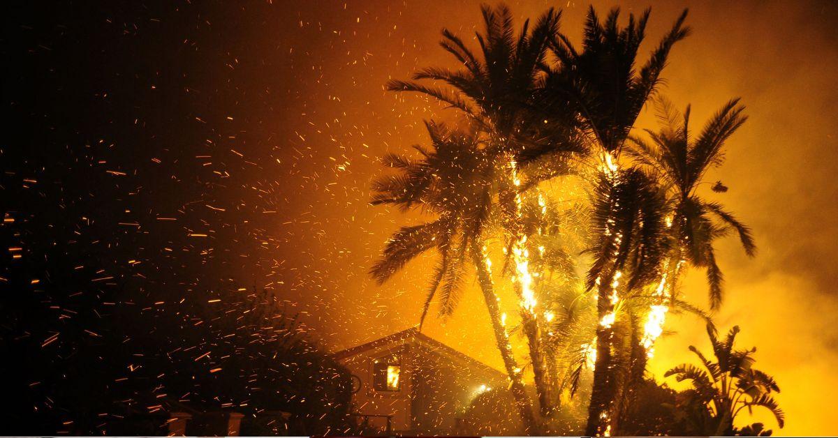 Iconic L.A. Feature Could Be AXED To Protect Against Future Wildfires