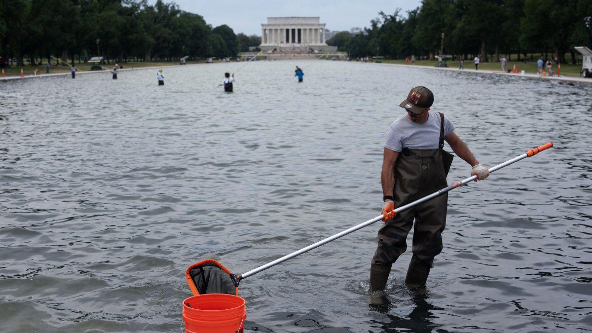 Hillary Clinton Mocks Trump's Reflecting Pool and Great American Fair