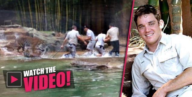 The Moment A Trained Tiger Attacked: Cat 'Lunged At,' 'Pierced' Trainer ...
