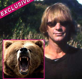 Grizzly Man Who Was Mauled By His Beloved Bears 'Didn't Have A Death ...