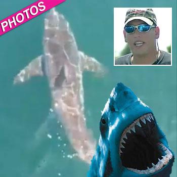 Jaws Is Back! Great White Caught On Tape Off Cape Cod