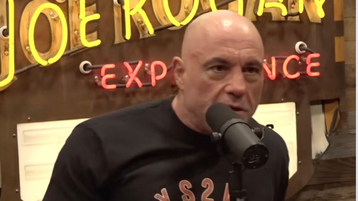 Joe Rogan Claims ICE Protests Are 'Paid for and Organized'