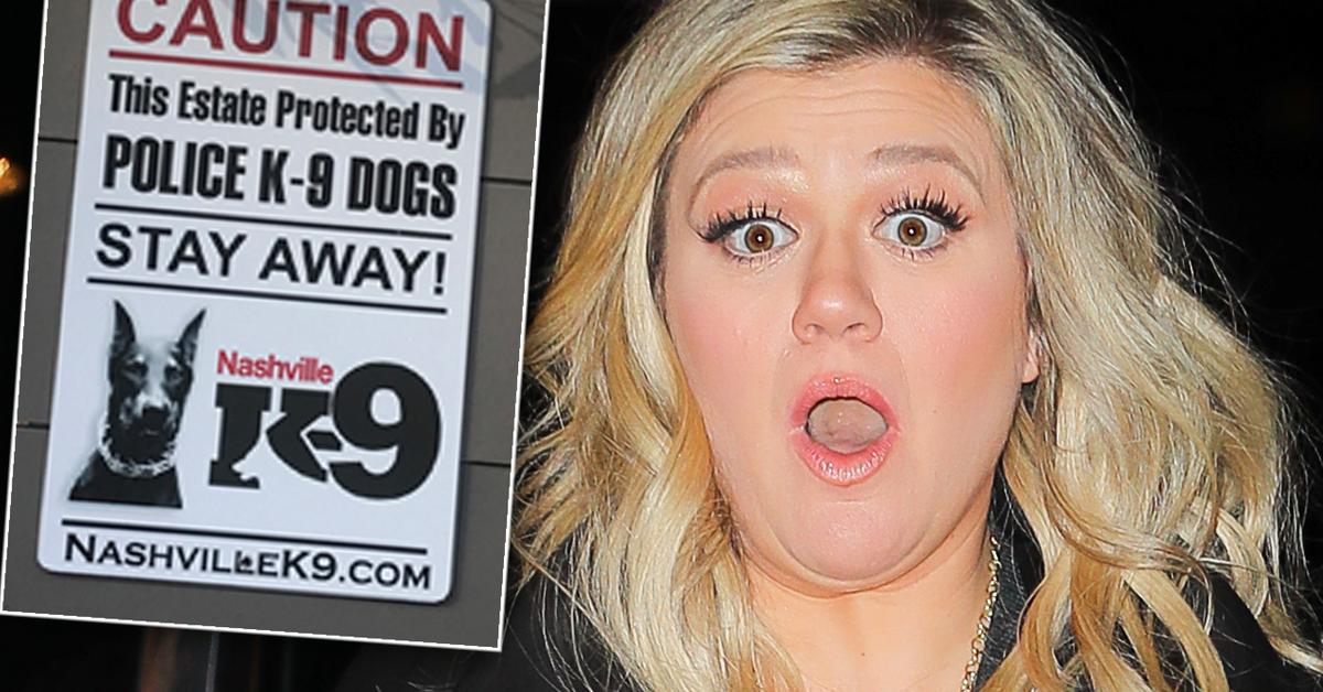 Kelly Clarkson Gets $80k Trained Security Dog After Home Break-In Horror