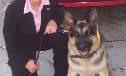 Images Of Megan Leavey And Sargeant Rex