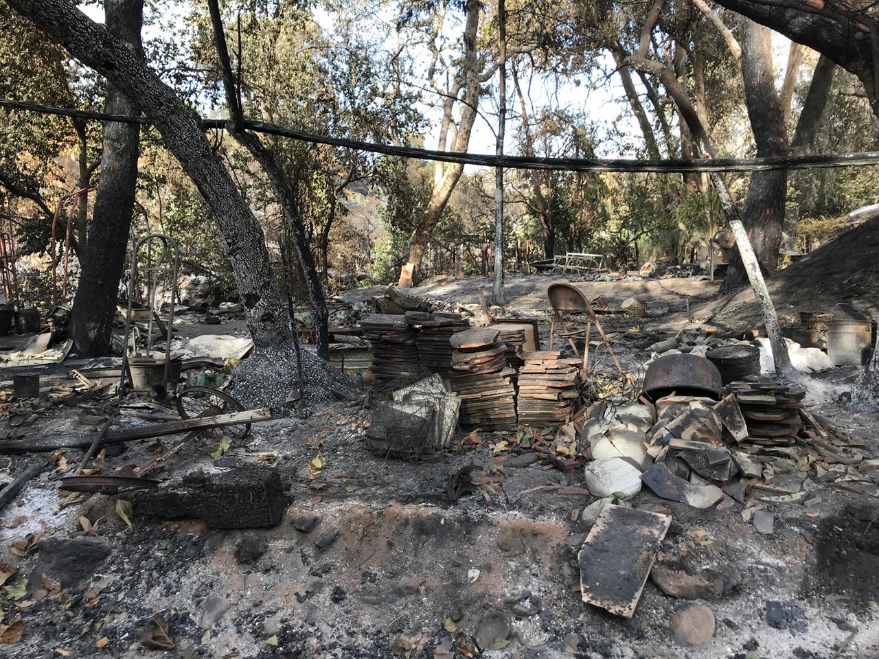 Nick Nolte Home Badly Damaged In CA Wildfires