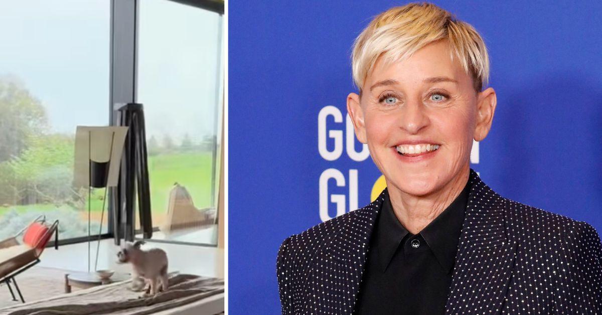Ellen DeGeneres Plotting 'Embarrassing' U-Turn By Moving Back To L.A.