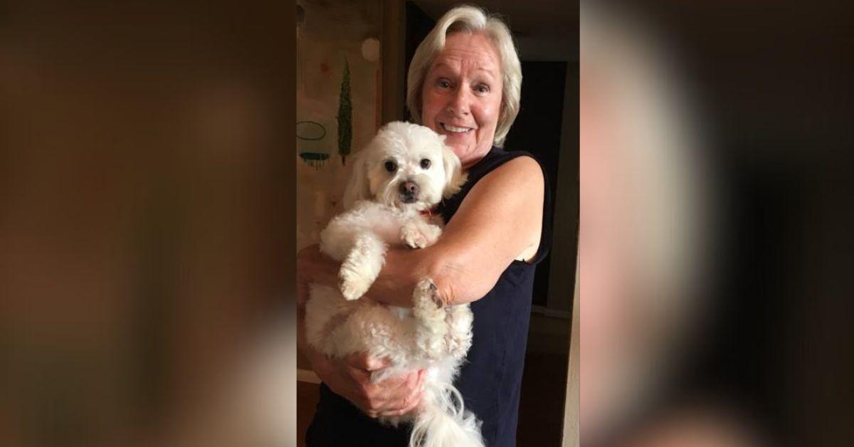 'West Side Story' Actress Carole D’Andrea Dead at 87