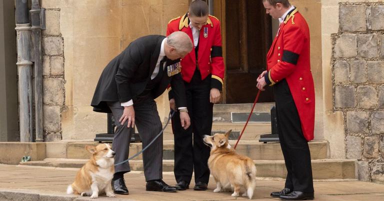 EXCLUSIVE: Sarah Ferguson Claimed Queen's Ghost Spoke Through Corgis
