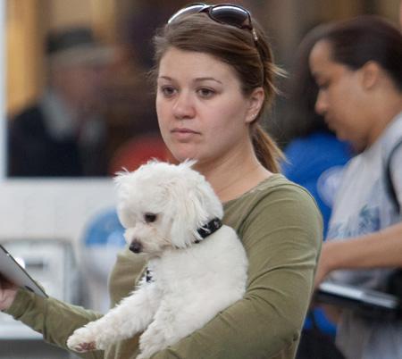 Kelly Clarkson’s Heartbreak: Her ‘Soulmate’ Dog Dies