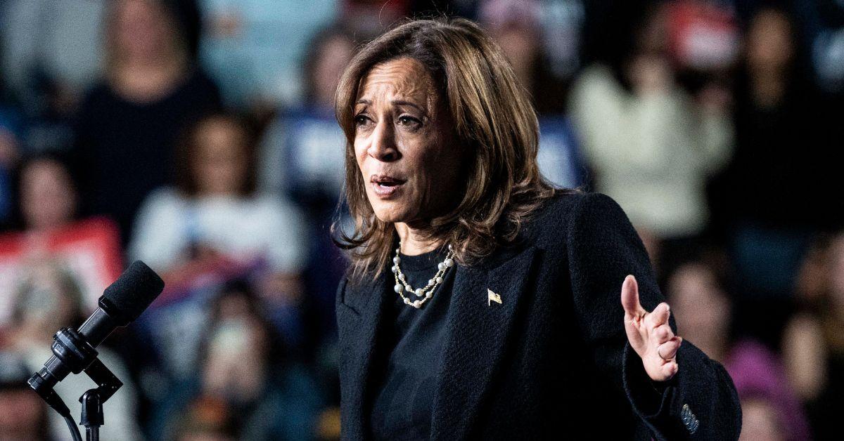 Kamala Harris Recalls 'Grieving' After Election Loss to Donald Trump