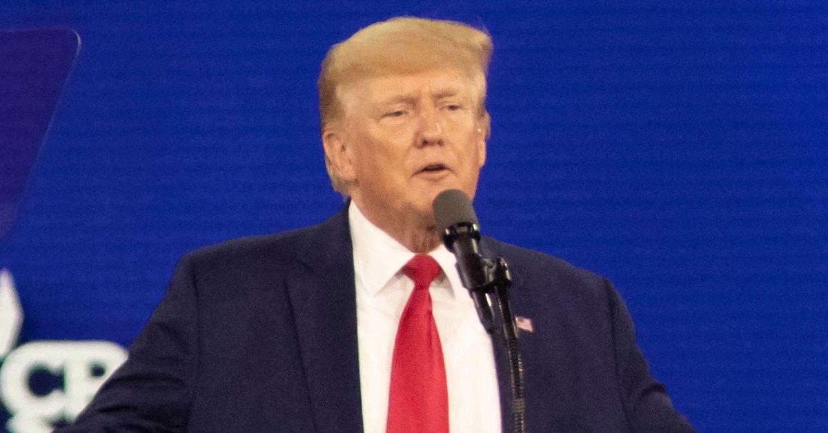 Ex-Prez Donald Trump Mocked & Ridiculed Over Alleged New Hairpiece As ...