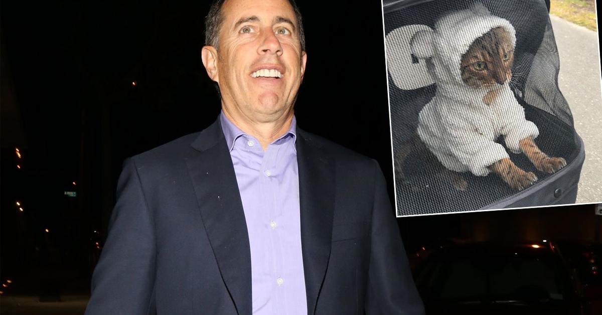 Jerry Seinfeld's Cat Takes Weed For His Anxiety!