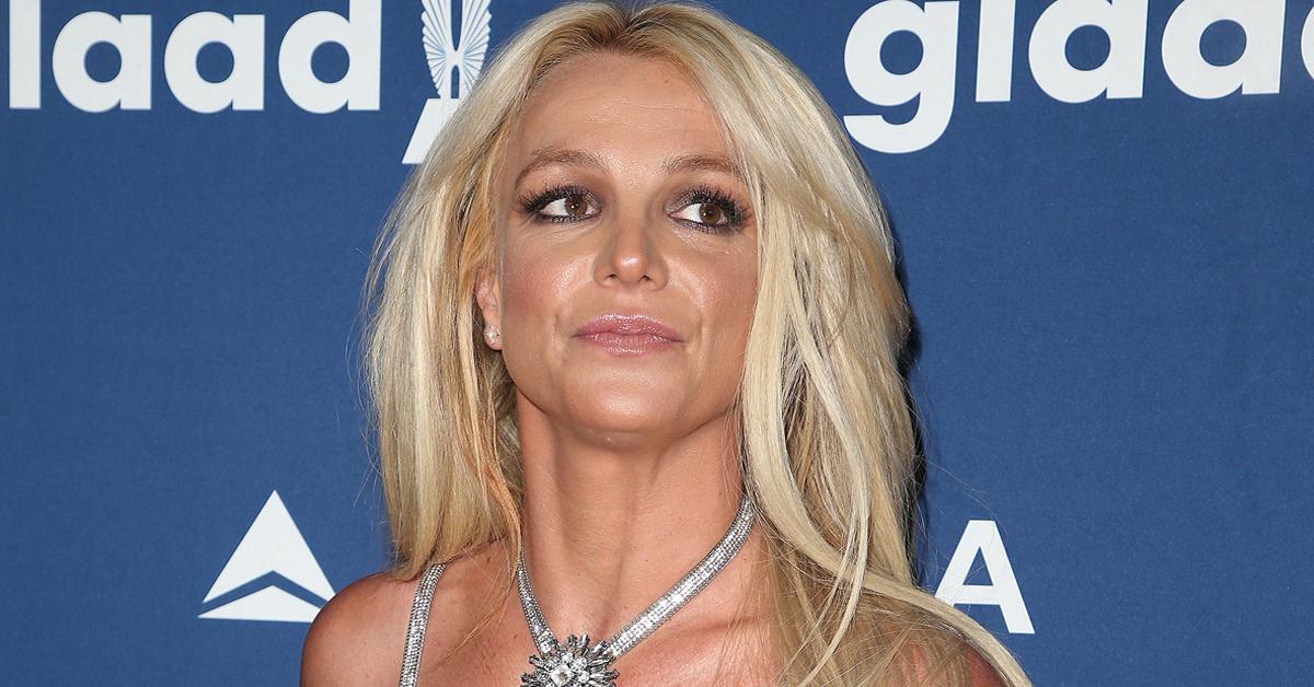 Britney Spears' Lawyer Samuel Ingham Paid $3 Million From Singer In ...