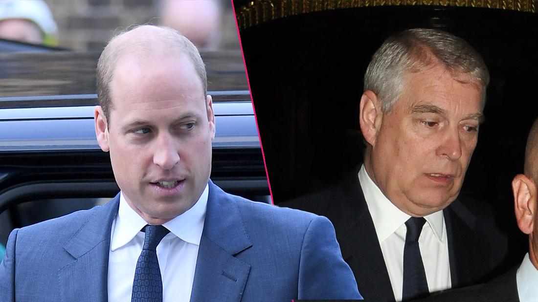 Prince William Helps Nix Prince Andrew From Palace