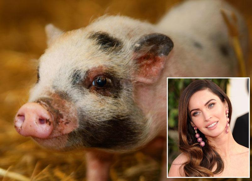 PHOTOS: Really Bizarre Celebrity Pets