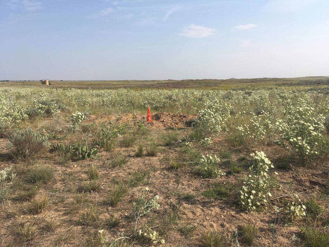 Chris Watts Murder Evidence -- Shanann’s Clothes, Grave & Crime Scene ...