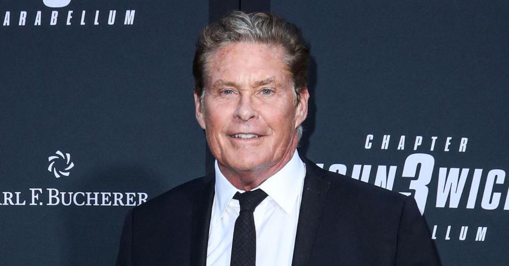 David Hasselhoff Now Wheelchair-Bound After ex-Wife's Shock Suidcide