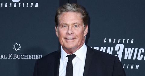 David Hasselhoff Now Wheelchair-Bound After ex-Wife's Shock Suidcide